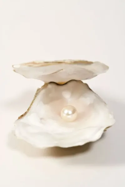 Oyster Shell With Pearl